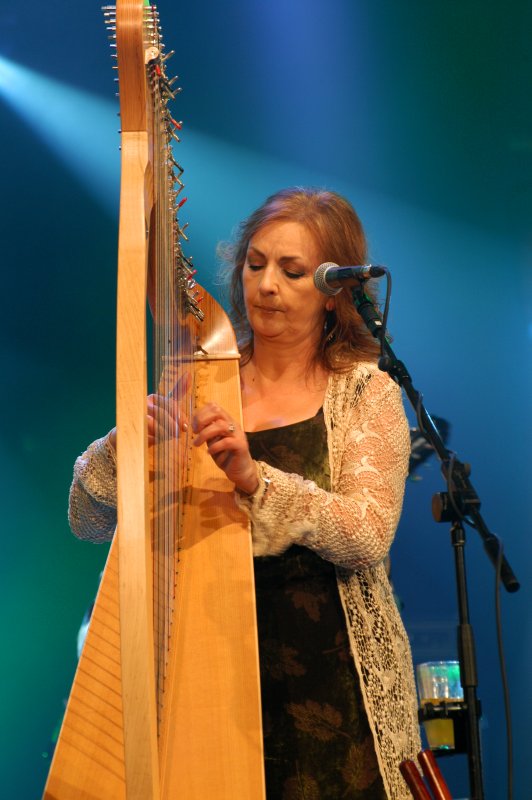 CambridgeFolkFestival2012-2